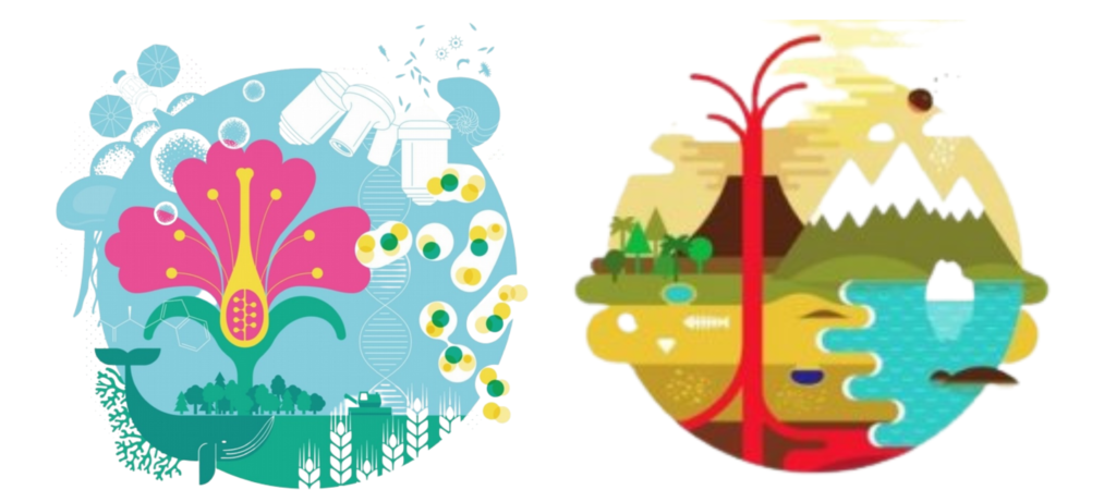 Concours de SVT proposés au LFC 2023/2024 - Lycée français du Caire